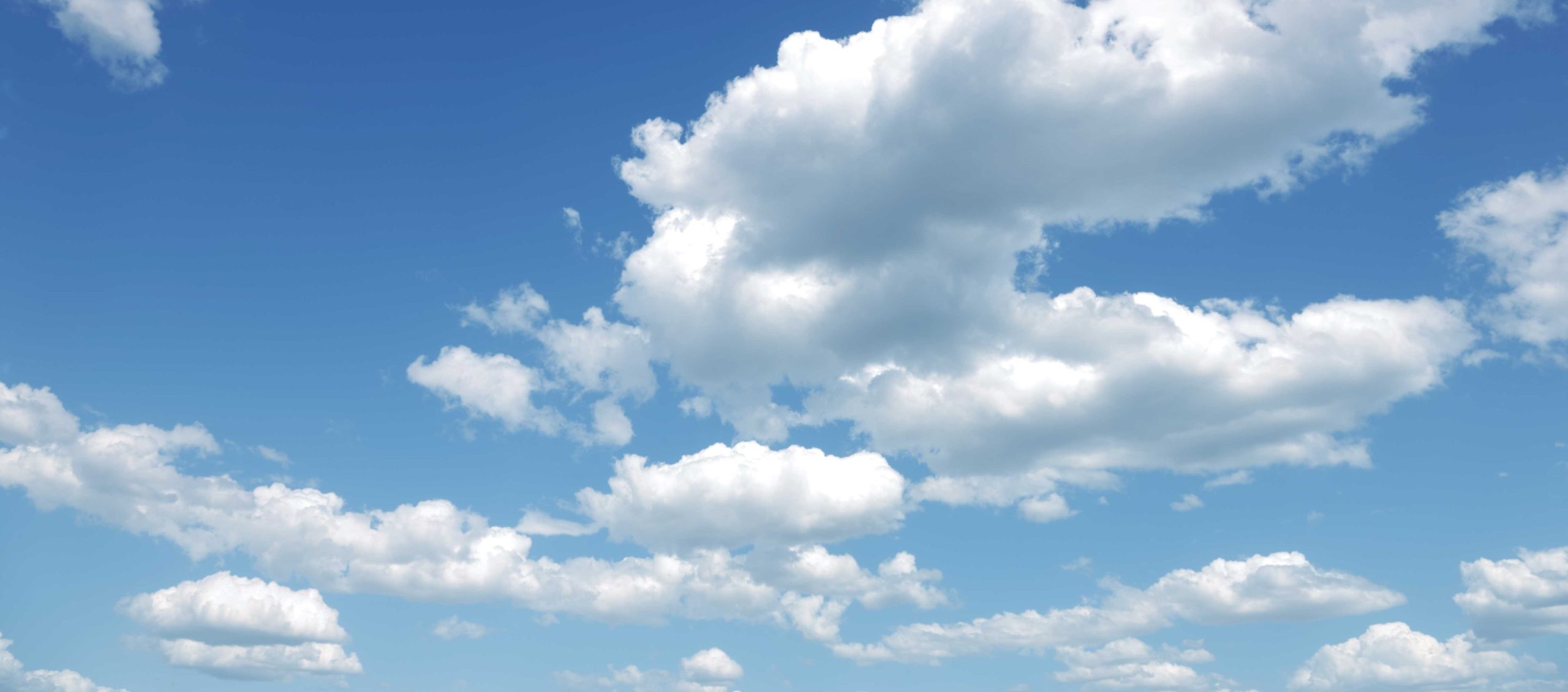 GettyImages-182175143-cropped - DyStar