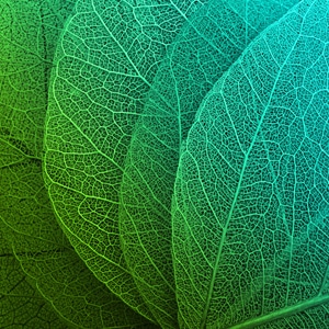 Eco Bright - DyStar